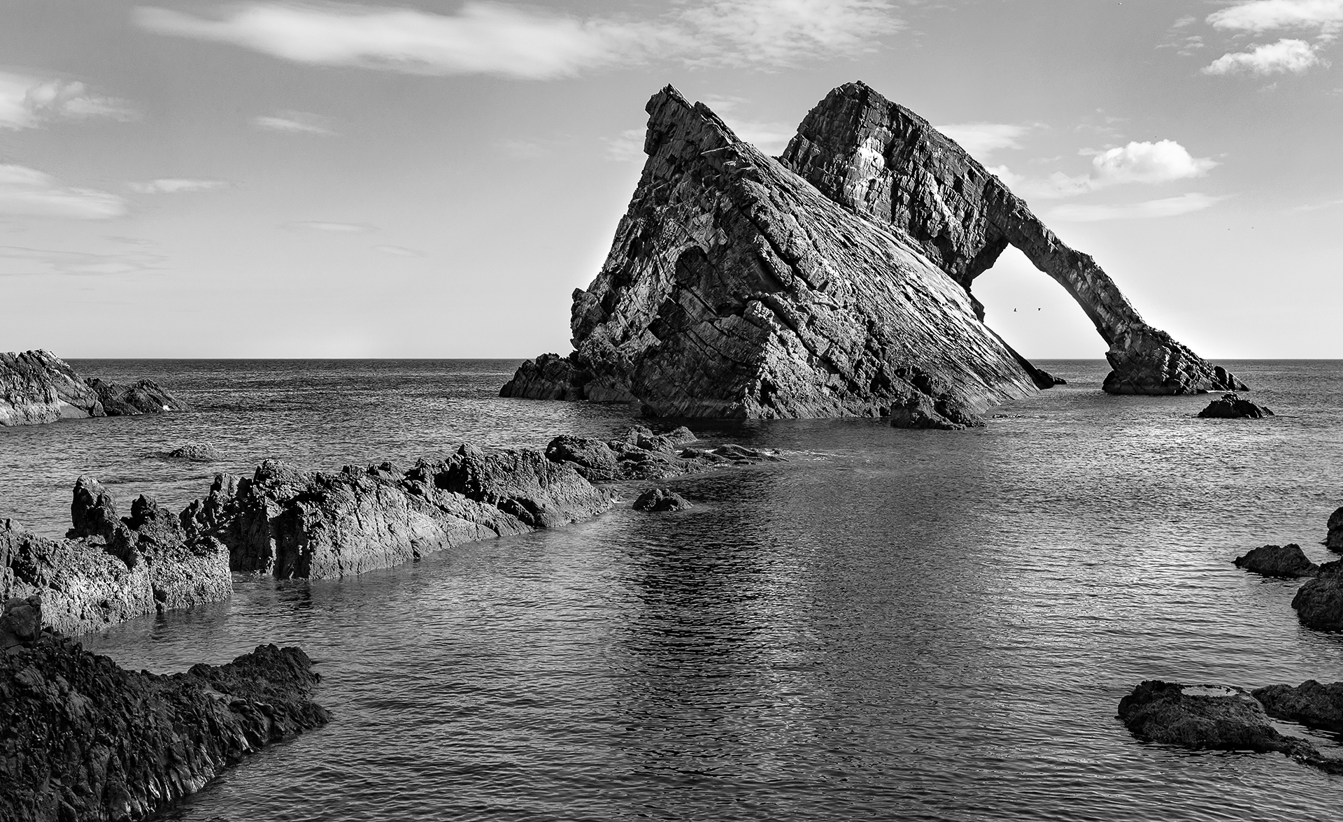 LPS competition 1 2023-24 - open informal prints - mono